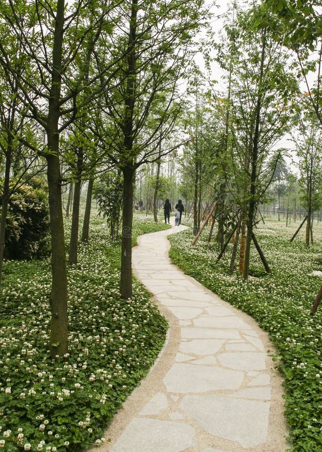 Spring Landscape in a Park,chengdu,china Editorial Stock Image - Image ...