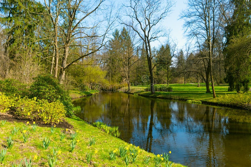 Spring Landscape in a Park with a Pond Stock Photo - Image of landscape ...