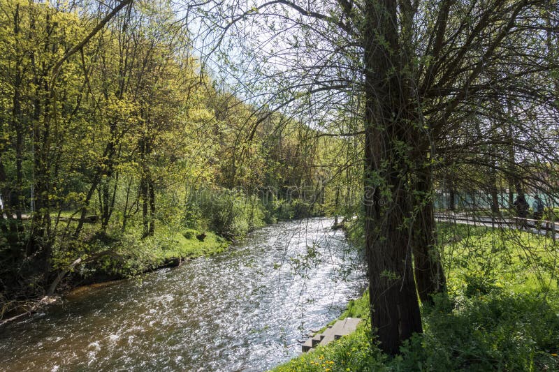Spring Landscape in the Park with a Small River. Stock Image - Image of ...