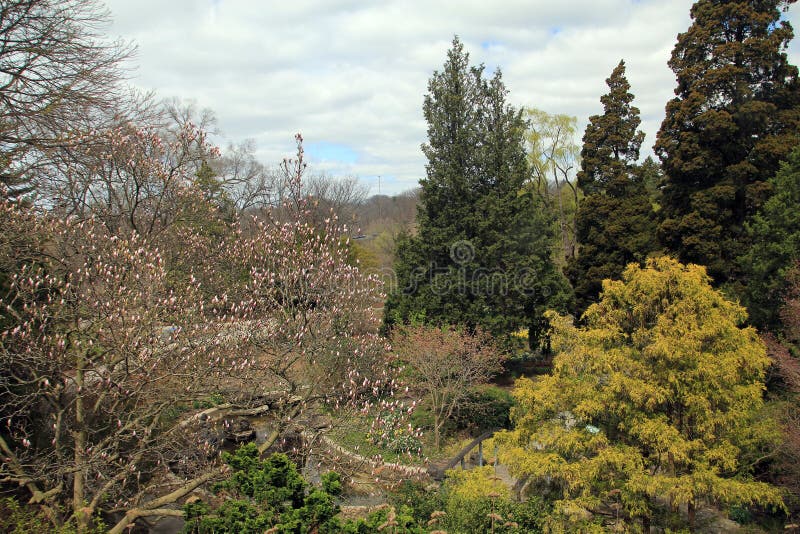 Spring Landscape of the Park Stock Photo - Image of garden, park: 315961290