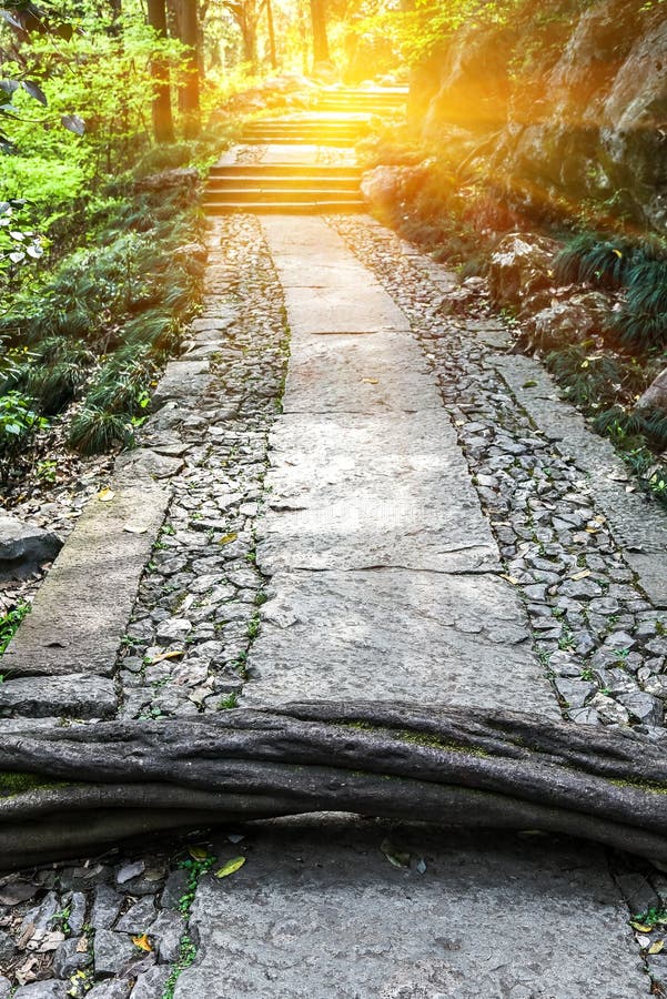 Obstacles Ahead stock photo. Image of calm, lake, road - 1675434