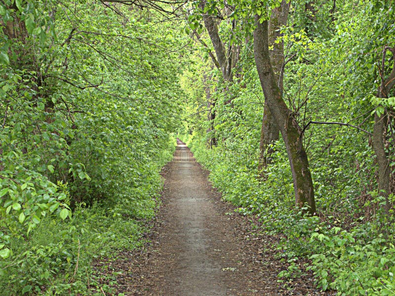 Spring landscape stock image. Image of spring, road, frame - 94122023