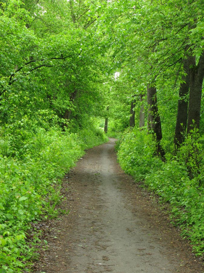 Spring landscape stock photo. Image of landscape, spring - 94127360