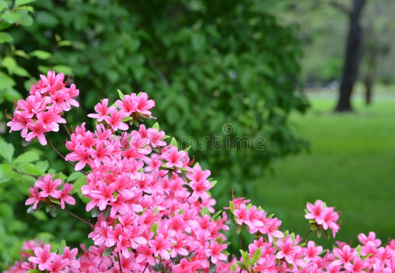 2,637,605 Spring Landscape Photos - Free & Royalty-Free Stock Photos ...