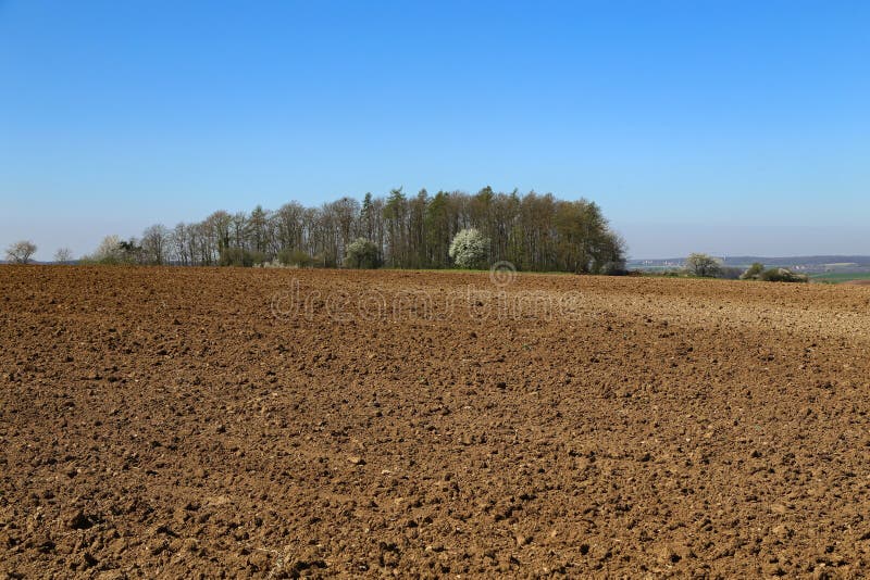 Spring Landscape. Plowed and Sown Field in the Spring Stock Image ...