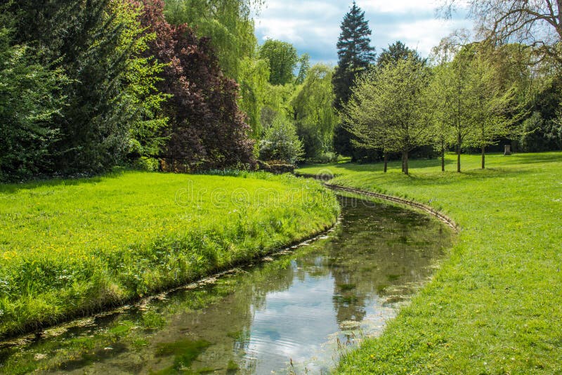 Spring pond stock photo. Image of freshness, leaf, forest - 99839358