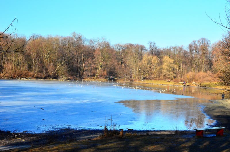 Spring landscape stock image. Image of beautiful, park - 66304587