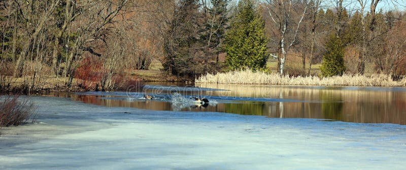 Spring Landscape Quebec Province Stock Photo - Image of landscape ...