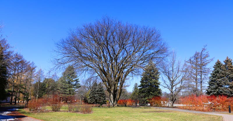 Spring Landscape Quebec Province Stock Photo - Image of environment ...
