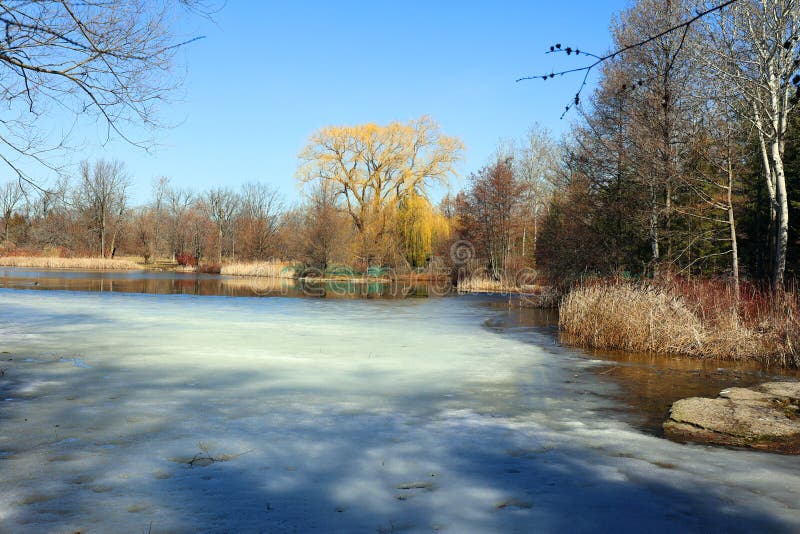 Spring Landscape Quebec Province Stock Photo - Image of birds ...
