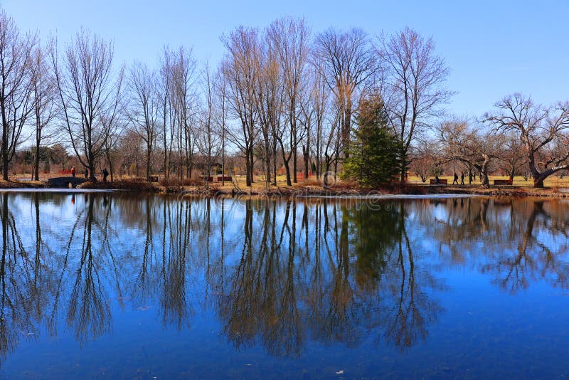 Spring Landscape Quebec Province Stock Photo - Image of forest, color ...