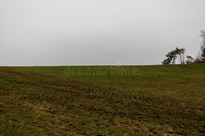Spring Landscape on a Rainy Day. Fields, Roads, Meadows Stock Image ...