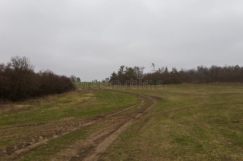 Spring Landscape on a Rainy Day. Fields, Roads, Meadows Stock Photo ...