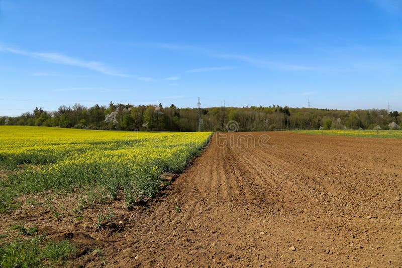 Spring Landscape with Rapefield and Arable Land Stock Photo - Image of ...