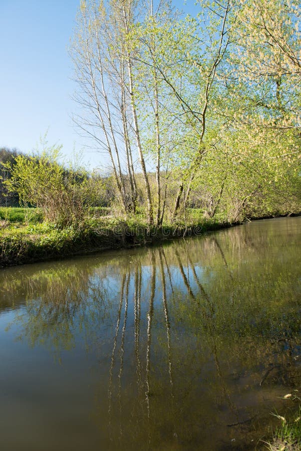 Spring Landscape with a River Stock Image - Image of reed, outdoor ...