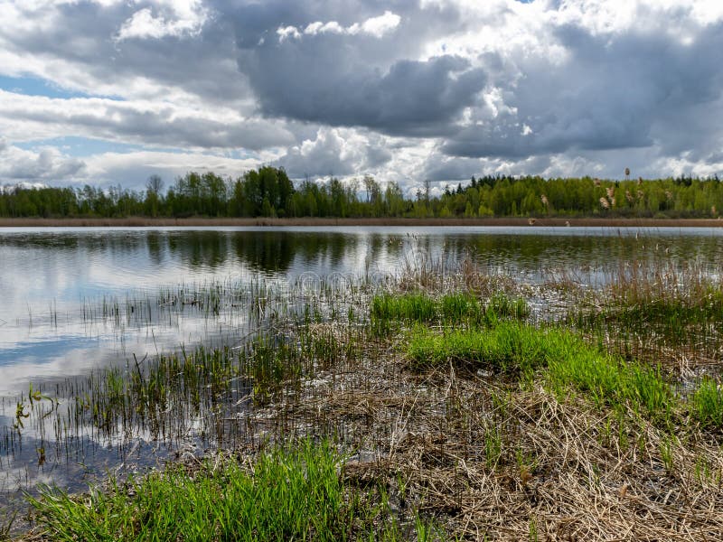 Spring Landscape with a River, the First Bright Spring Greenery on the ...