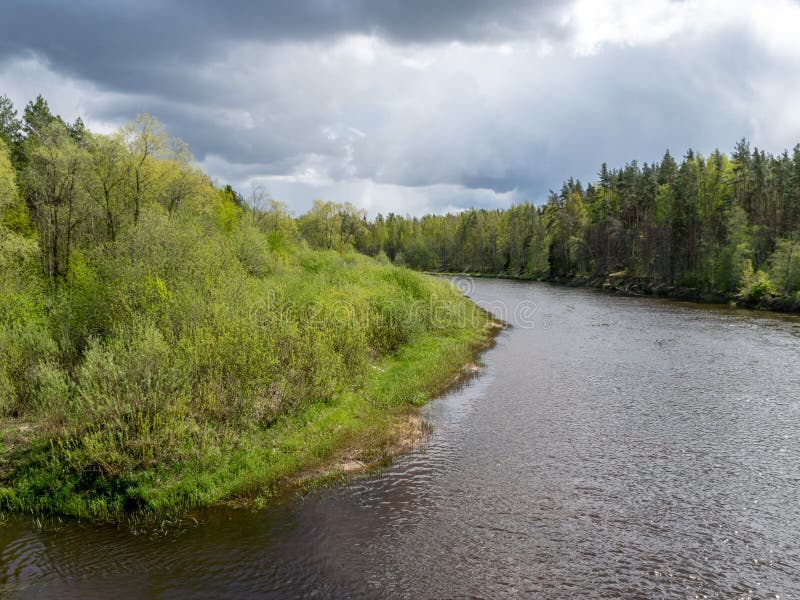 Spring Landscape with a River, the First Bright Spring Greenery on the ...