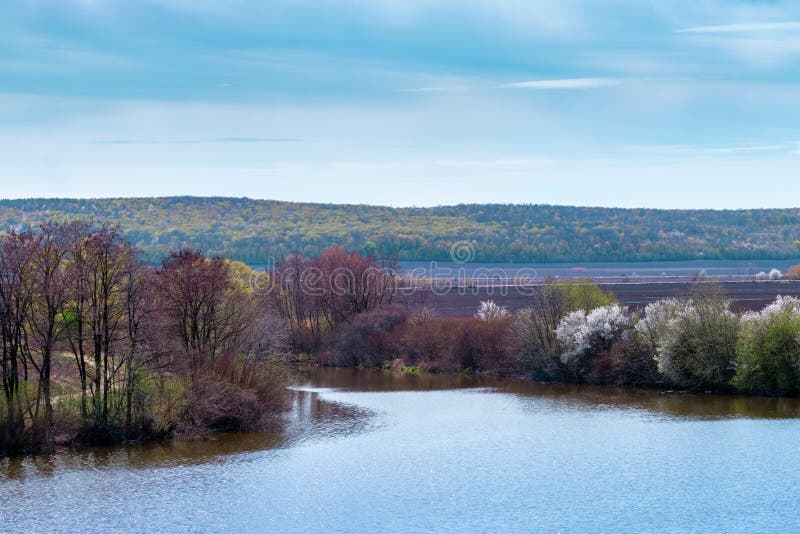 Spring Landscape with River and Flowering Trees in Cloudy Weather Stock ...