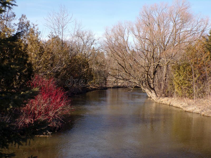 Spring Landscape stock photo. Image of plant, river - 274522682
