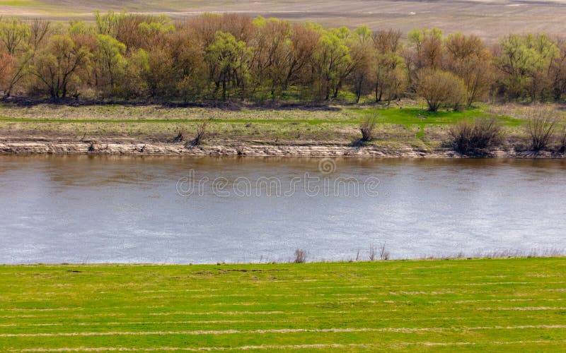 Spring Landscape with River and Forest. Early Spring in the Forest ...