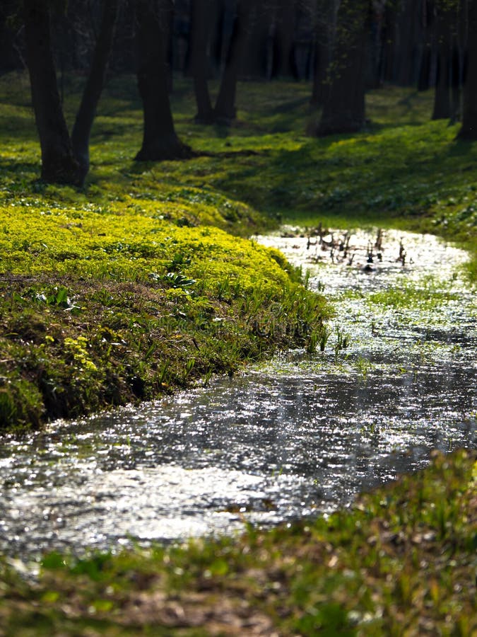 Spring Landscape with a River and a Green Meadow Stock Photo - Image of ...