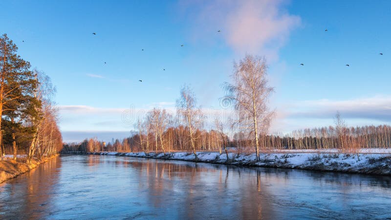 Spring Landscape on the River at Sunset and a Flock of Birds, Russia ...