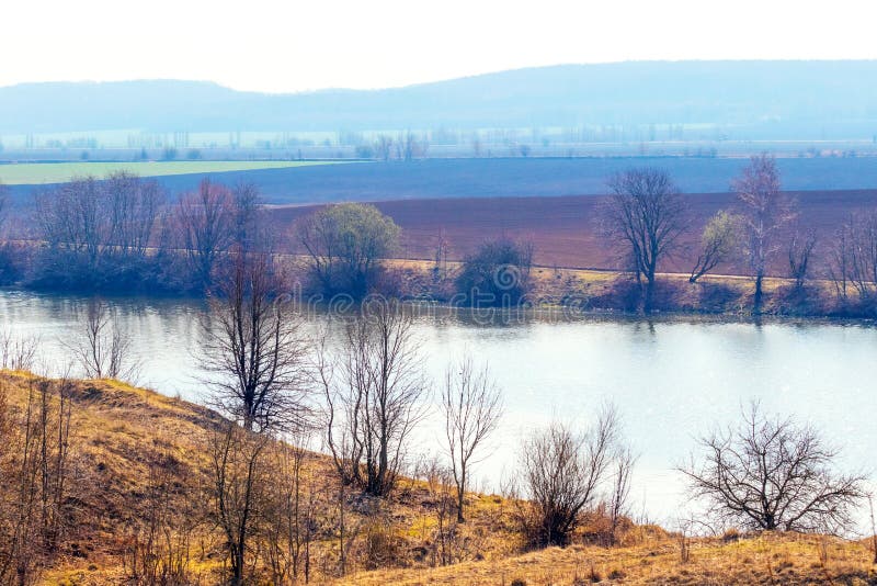 Spring Landscape with Forest Near the River, the First Spring Greenery ...