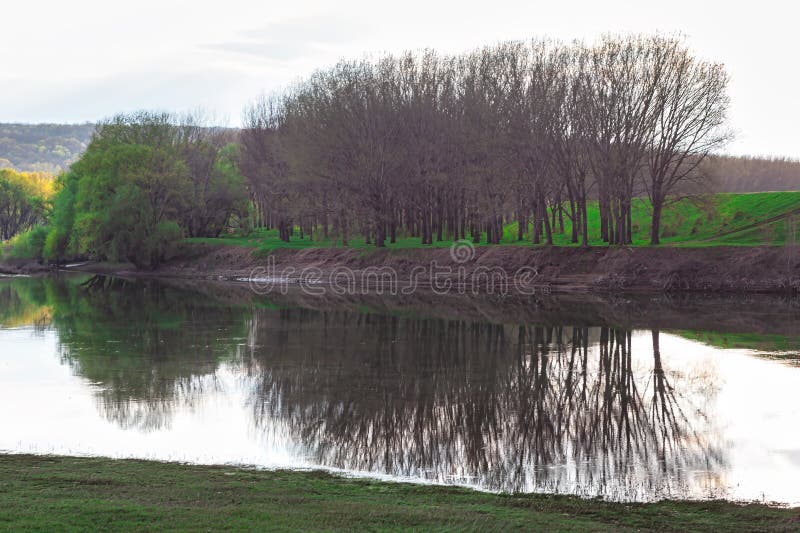Spring Landscape with a River and Trees Reflection in the Water Stock ...