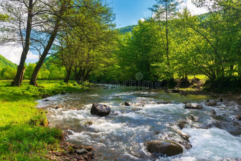 Spring Landscape with River among Park Stock Photo - Image of mountains ...