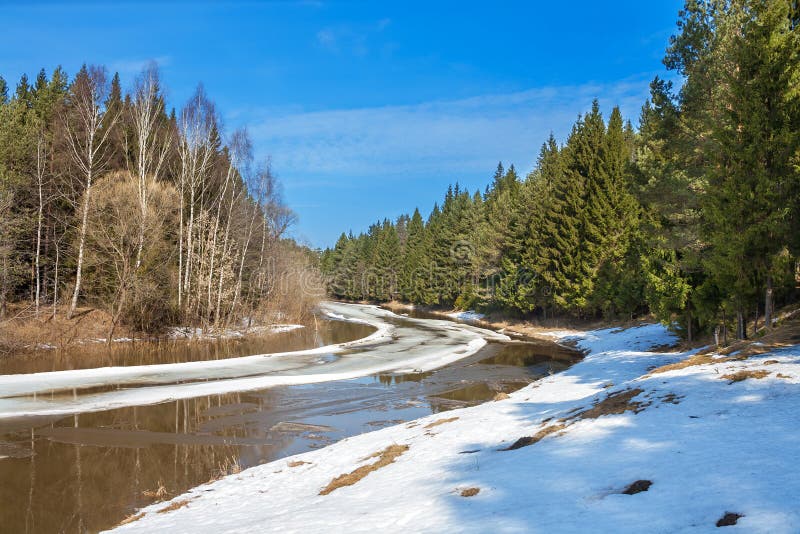 Spring Landscape with the River and the Wood Stock Image - Image of ...