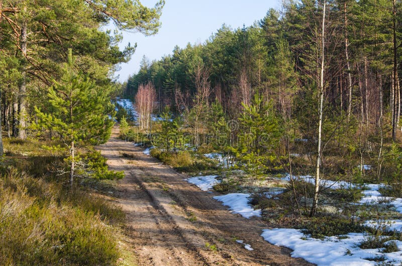 Spring landscape with road stock photo. Image of cold - 50009804