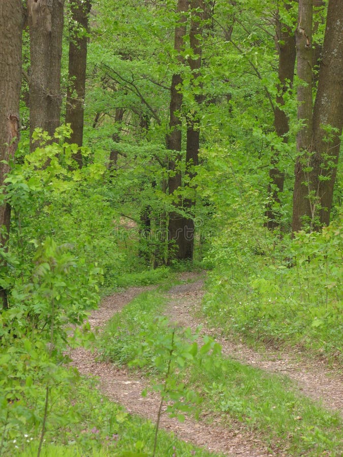 Spring landscape stock image. Image of landscape, quiet - 71760841