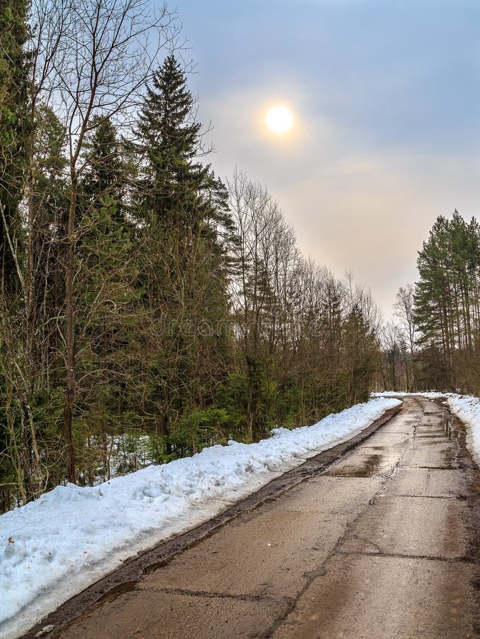 Spring Landscape on the Road in the Woods Stock Photo - Image of melted ...