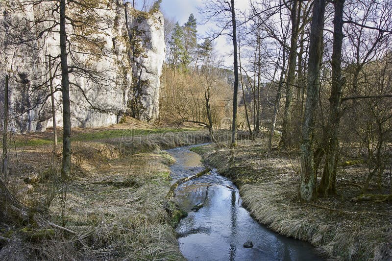 Rock and Creek in Early Spring on a Sunny Day Stock Image - Image of ...