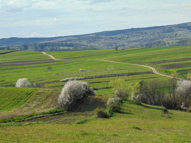 Spring Landscape in Romania. Natural Landscape in April Stock Photo ...