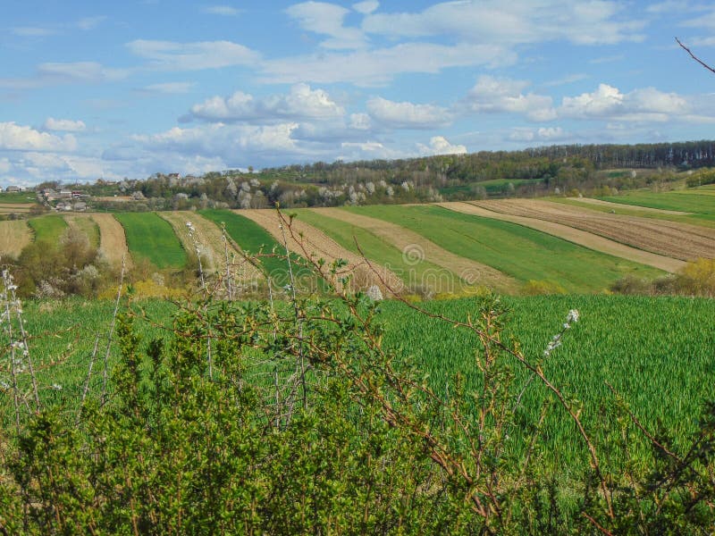 Spring Landscape in Romania. Natural Landscape in April Stock Image ...