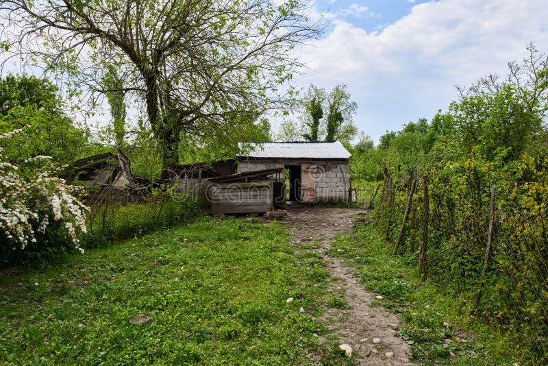 Spring Landscape Of Rural Georgia Stock Image - Image of rocks, forest ...