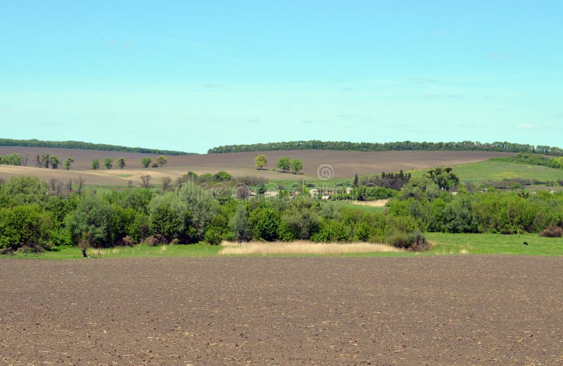 Spring landscape stock photo. Image of season, summer - 41618806