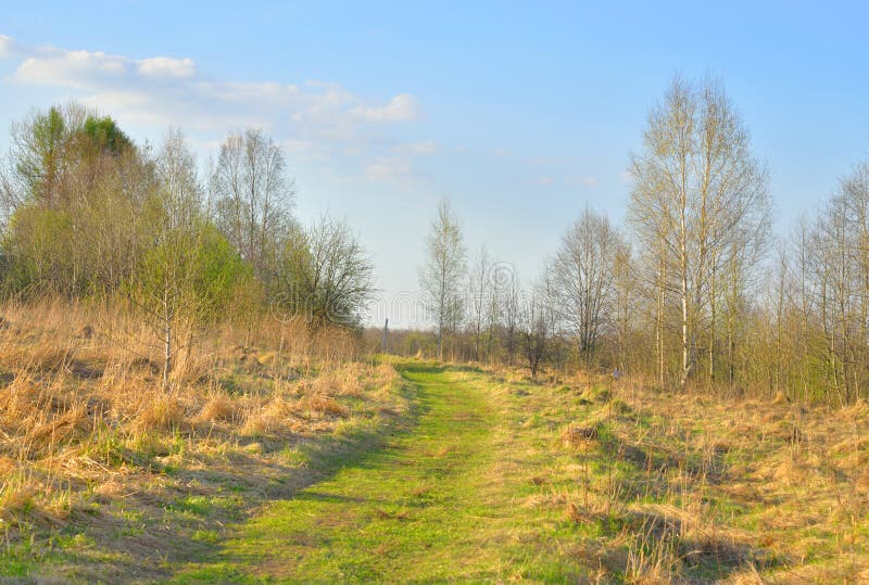 Spring Landscape with Rural Road. Stock Image - Image of outside ...