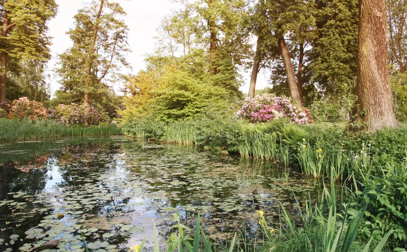 Spring Landscape. Scenic View of a Pond in a Park in Sunlight Stock ...