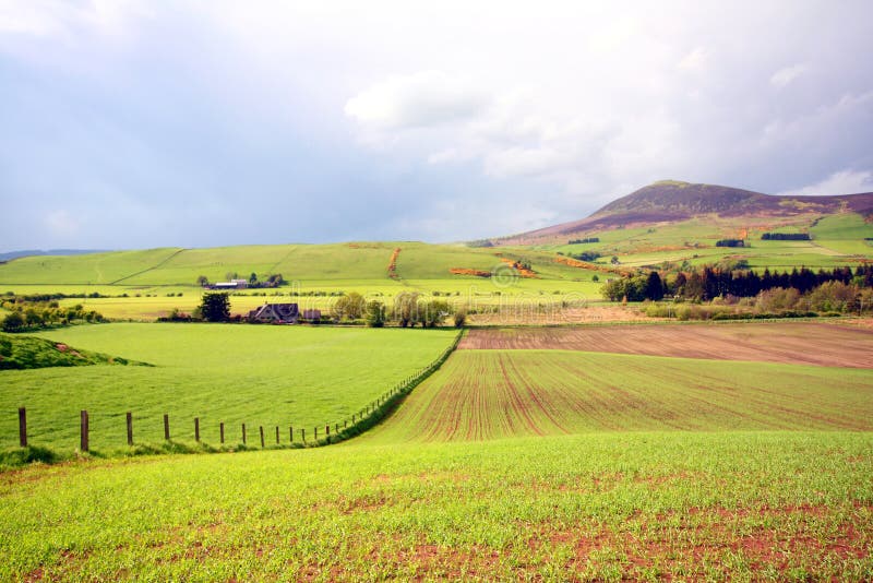 Spring Landscape in Scotland Stock Image - Image of season, land: 19490457