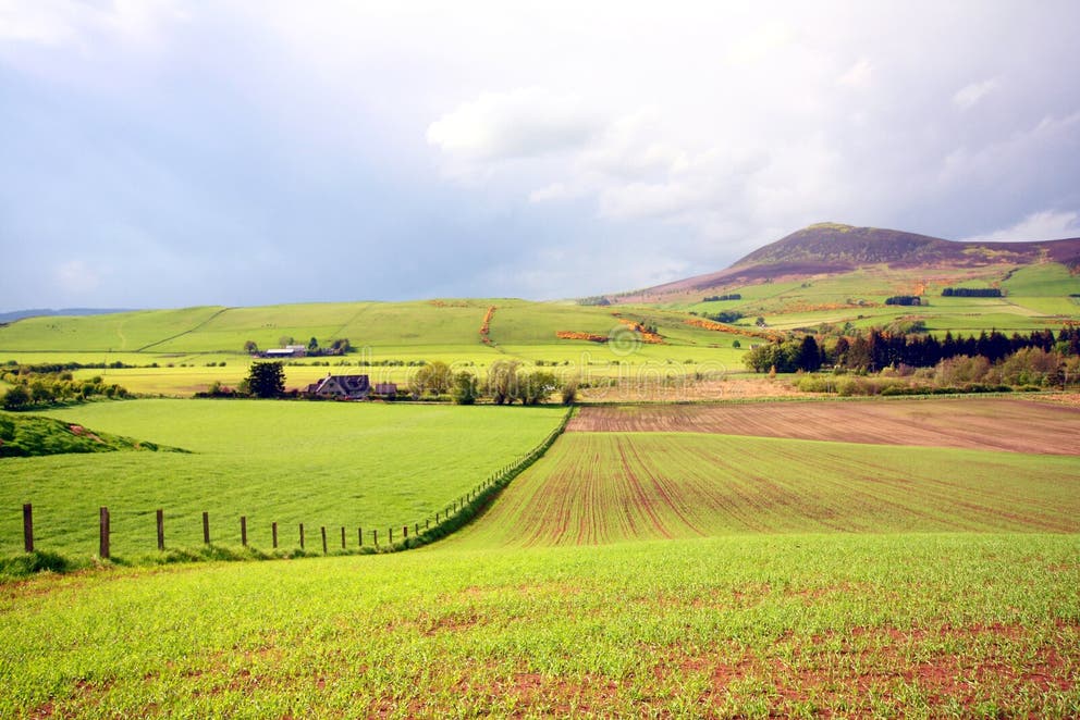 Spring Landscape in Scotland Stock Image - Image of season, land: 19490457