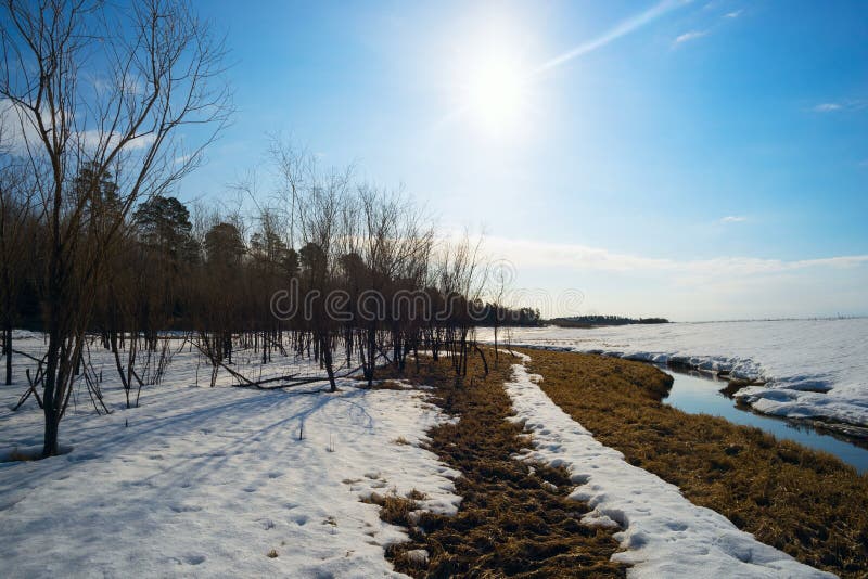 Spring Landscape . Siberia, Yugra. Stock Photo - Image of contour ...