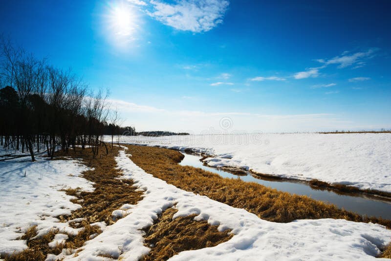 Spring Landscape . Siberia, Yugra. Stock Image - Image of mansi ...