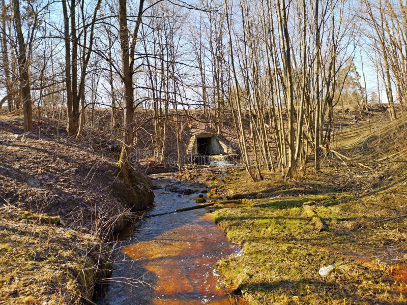 Spring Landscape of a Small Creek in the Park Stock Photo - Image of ...