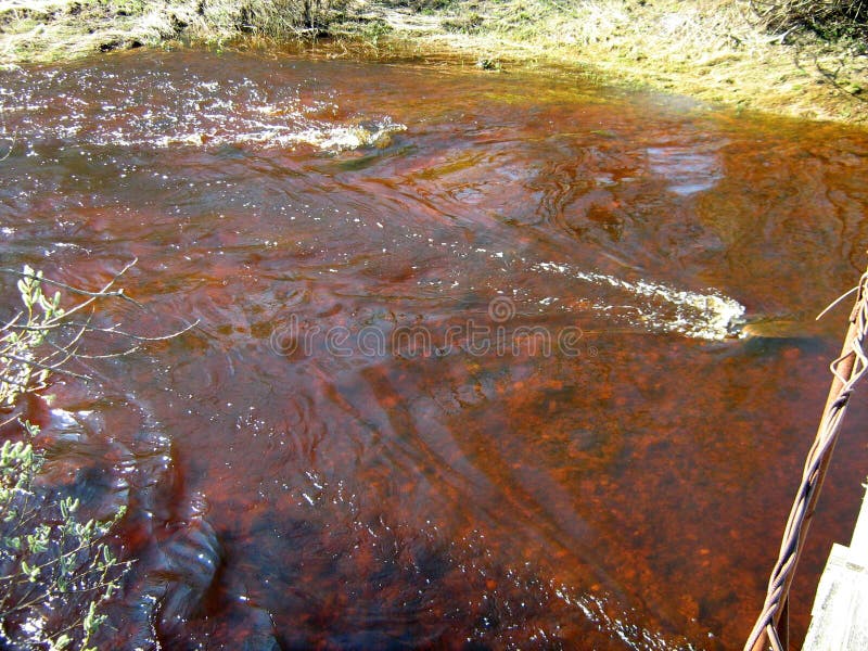 Spring Landscape of a Small Creek in the Park Stock Photo - Image of ...