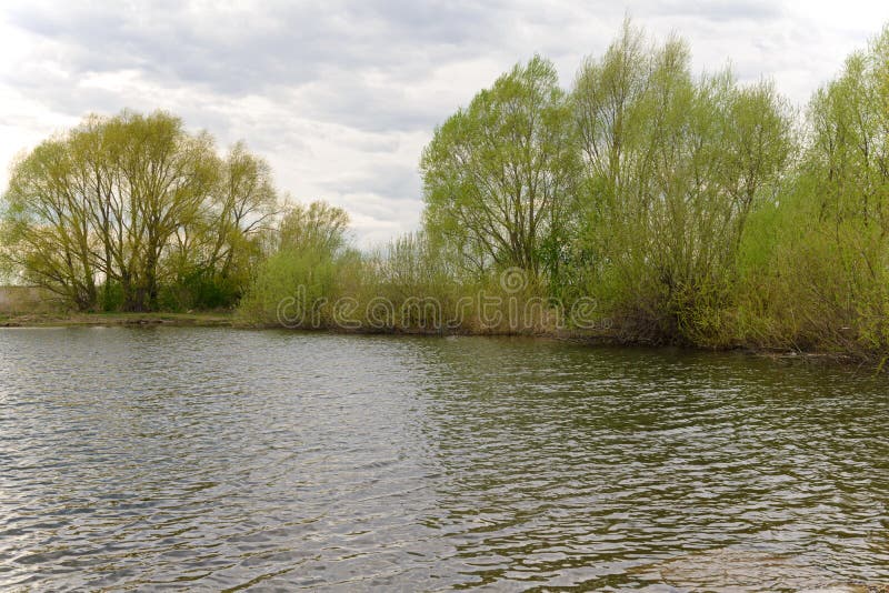 Spring Landscape with Small Lakes and Trees Near the Shore Stock Photo ...