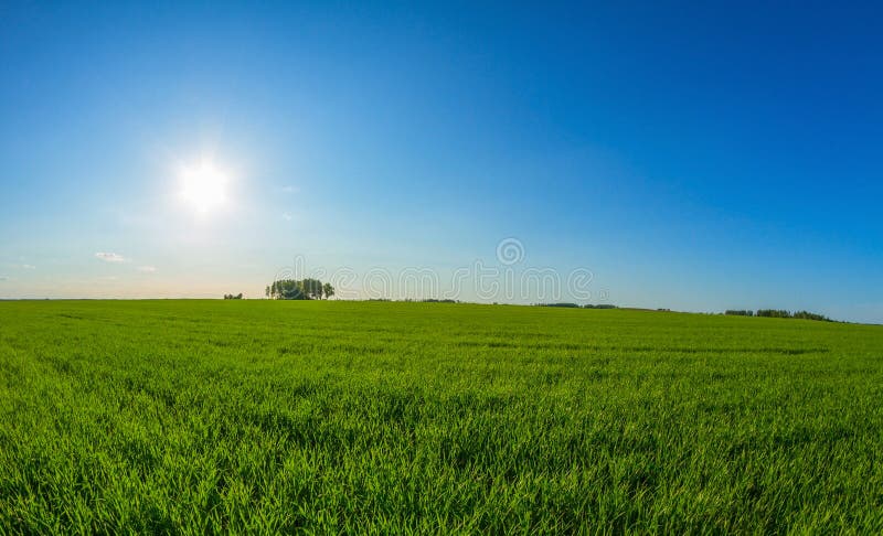 Landscape-3 stock photo. Image of landscape, dawn, idyllic - 2996576