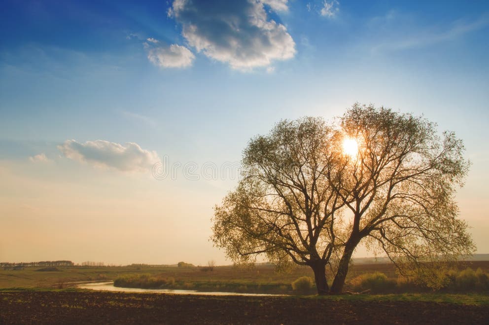 Spring landscape at sunset stock image. Image of edge - 20180351