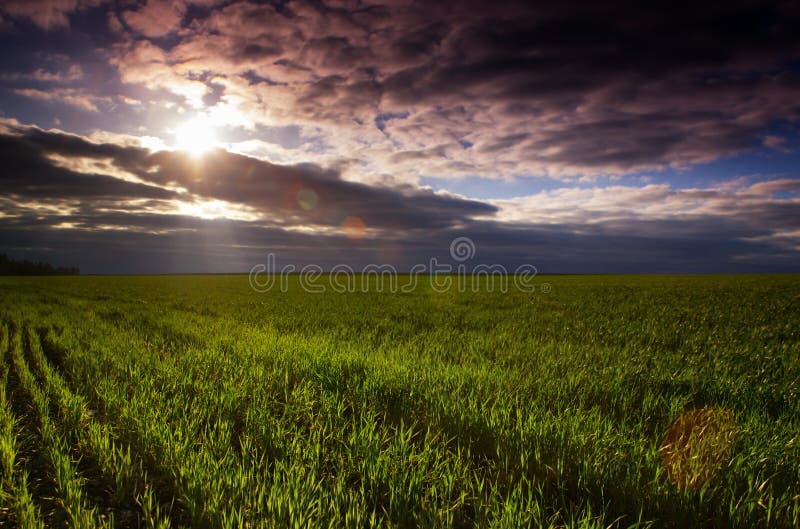 Spring landscape stock image. Image of foliage, sunlight - 36752303